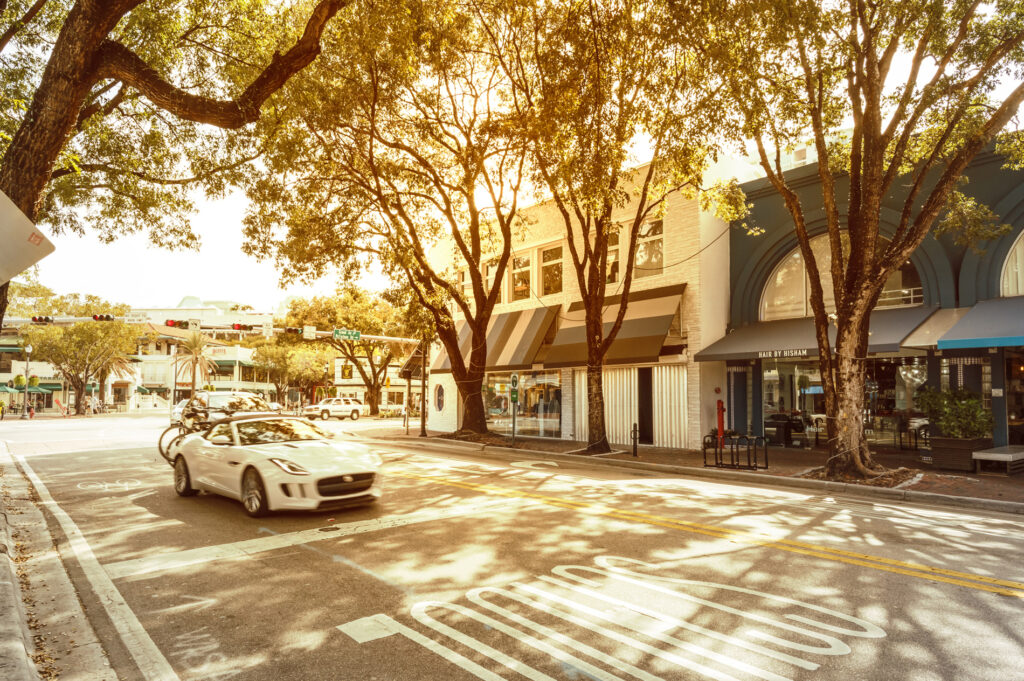 Coconut Grove - Hazel Goldman